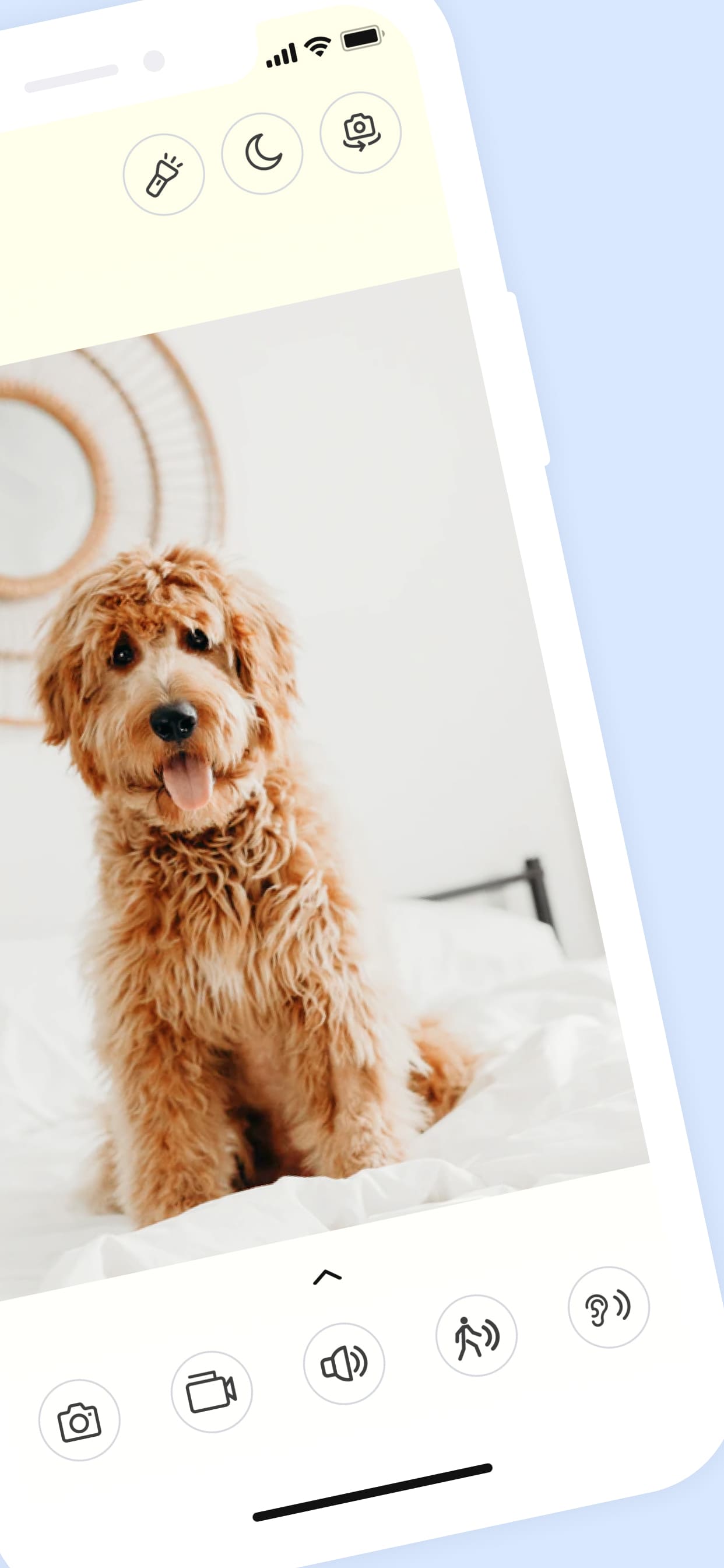 Doggy - dog monitor mobile app, dog camera, pet monitor, pet cam, pet ...