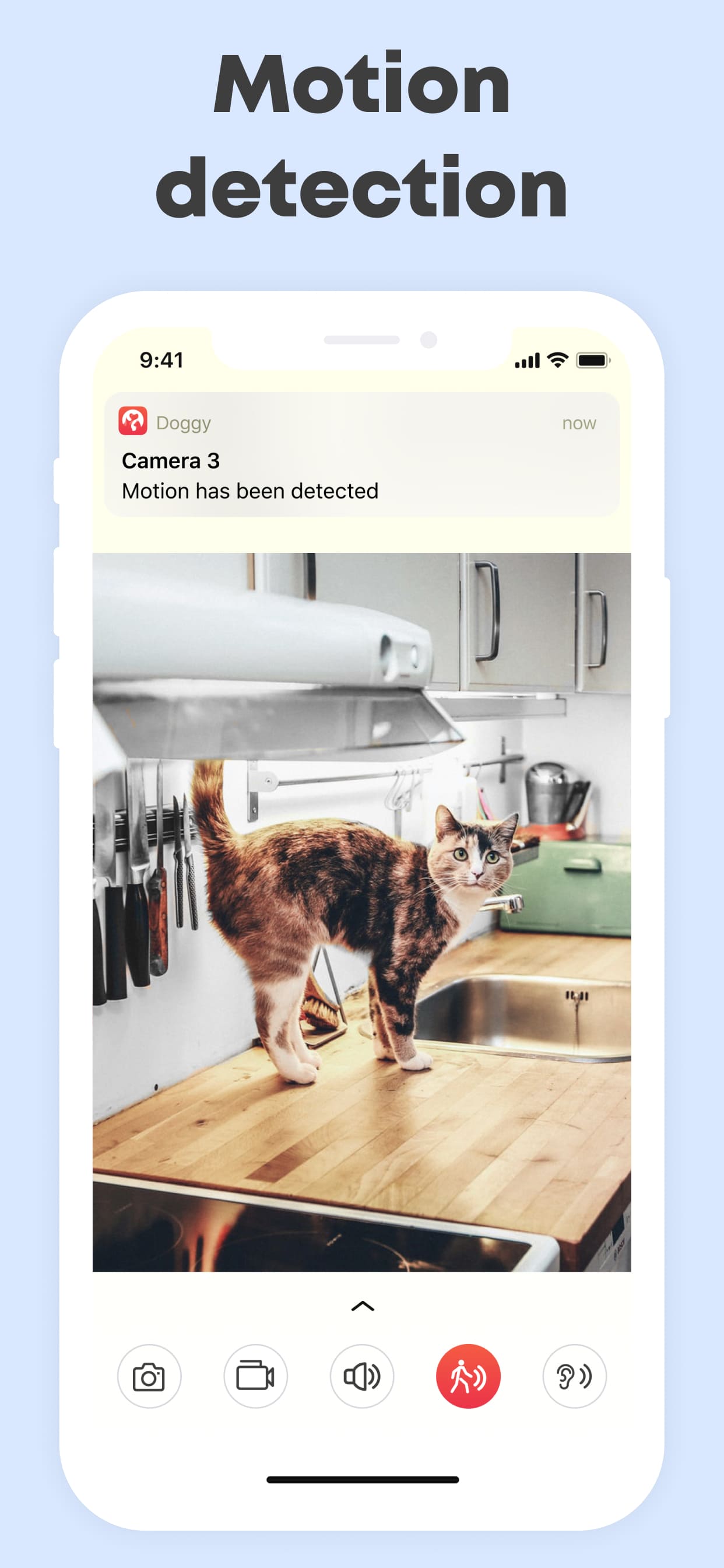 Doggy - dog monitor mobile app, dog camera, pet monitor, pet cam, pet ...